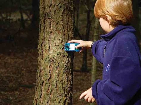 The Probe Tool In Action Download Scientific Diagram