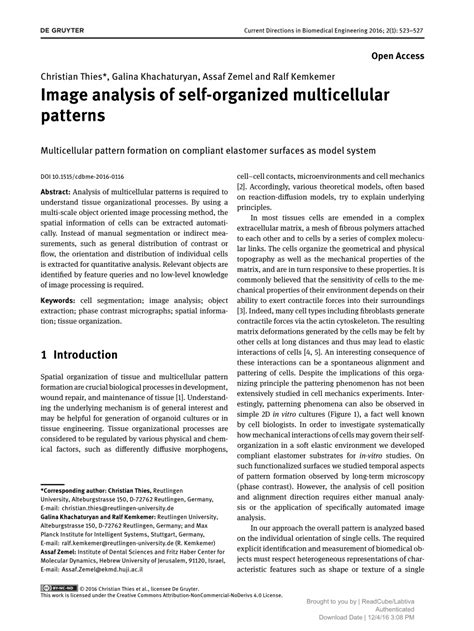 Pdf Image Analysis Of Self Organized Multicellular Patterns
