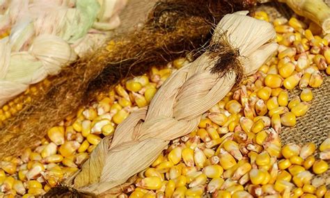 Кукуруза консервированная калорийность на 100 грамм, сколько калорий в ...