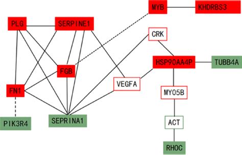 protein network interaction map red solid frame is the protein with