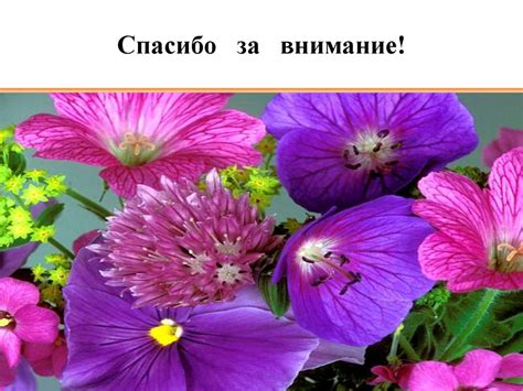 Использование проектной деятельности в обучении глухих школьников при написании деловых бумаг