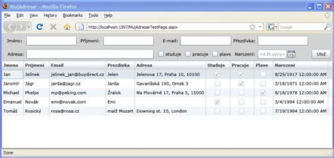 praktické užití silverlight 2 0 datagrid zdroják