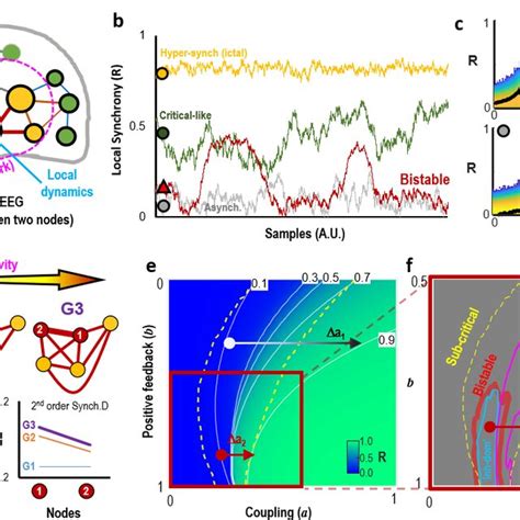 Hypothesis Aberrant Local Criticality And Elevated Large Scale Download Scientific Diagram