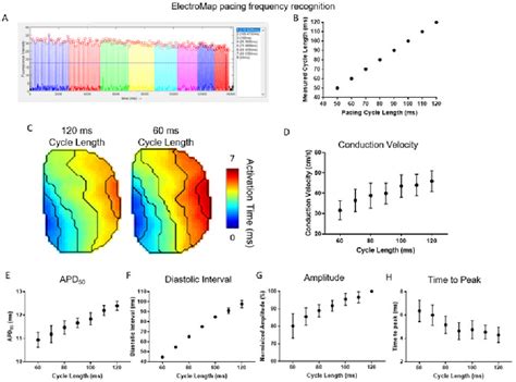 Figure 4 From High Throughput Analysis Of Optical Mapping Data Using