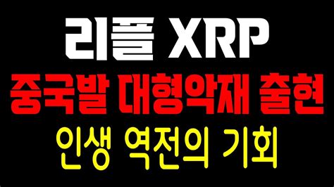 리플 중국발 대형 악재 출현 리플로 인생 역전 기회 Xrp Youtube