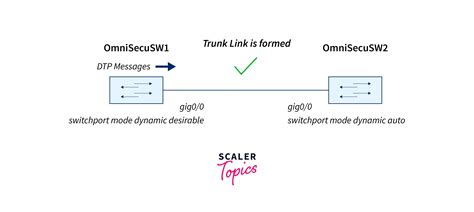 Dynamic Trunking Protocol Dtp Scaler Topics