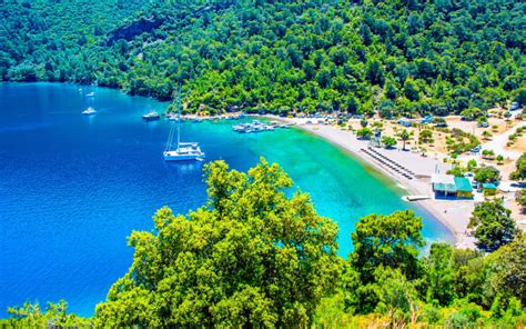 AmoРe туристичне агентство AmoРe туристичне агентство Kitsman Ukraine Amore Travel Kitsman