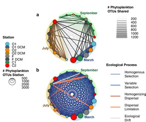 Spatiotemporal Patterns Of Diversity And The Dominant Ecological