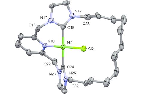 Solid State Structure Of 7 Thermal Ellipsoids Drawn At The 50