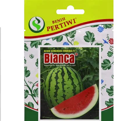 Jual Benih Semangka Hibrida F1 Bianca