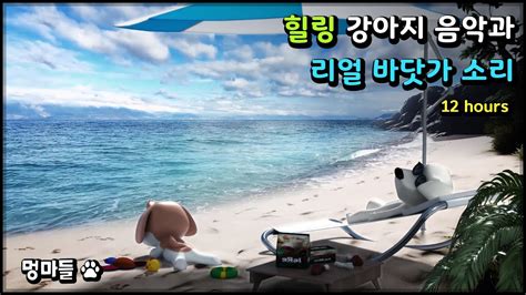 힐링 강아지 음악과 해변 파도소리 트여있는 바다뷰와 시원한 바람이 느껴져요 12시간 Youtube