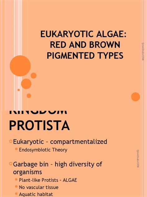 Bot 3 Eukaryotic Algae Red And Brown Algae Pdf Algae Organisms
