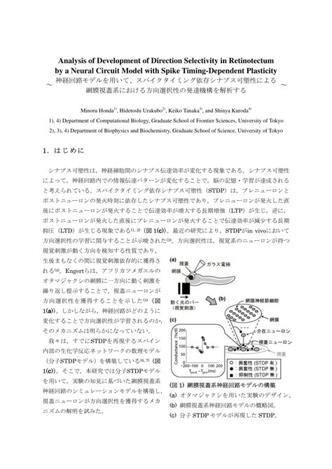 Pdf Analysis Of Development Of Direction Selectivity In Retinotectum