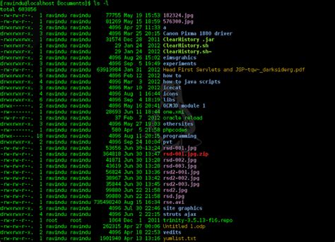 Terminal Commands And Shell Scripting Basic Terminal Navigation Commands