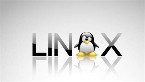 第四章 Linux字符设备的编写 Ew帮帮网