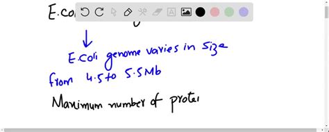 Solved The Purine Nucleotide Synthesis Pathway Shown In Problem 69 Is The De Novo Synthetic