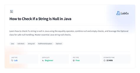 How To Check If A String Is Null In Java Labex