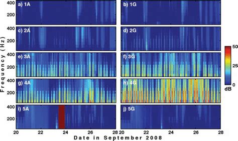 Color Online Expanded Views Of The Rm Covering Seismic Airgun Download Scientific Diagram