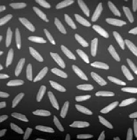 Image Processing Using Matlab Basic Operations Part 2