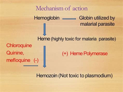 Antimalarial Drugs Ppt Free Download