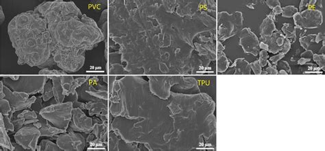 Scanning Electron Microscopy Micrographs Of Polystyrene Ps