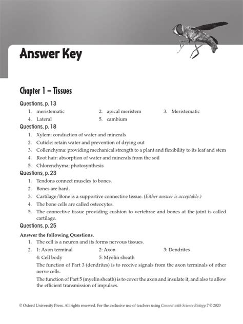 Answer Bio Class 7 Chap 1 Pdf Tissue Biology Axon