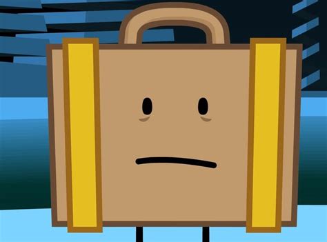 Suitcase Objects Insanity Suitcase
