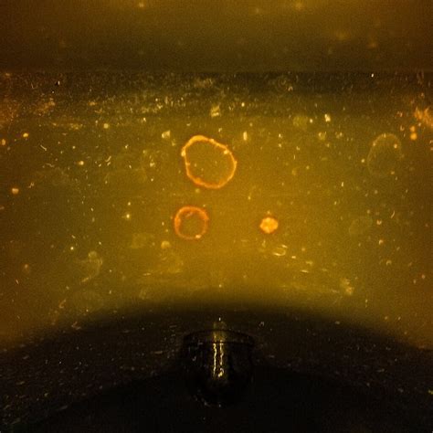 CSI PRO 2 ForenScope