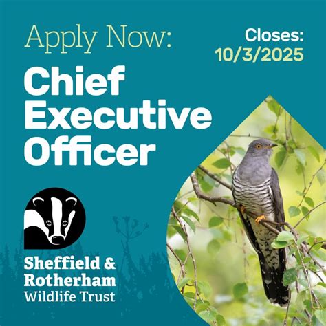 𝐂𝐥𝐨𝐬𝐢𝐧𝐠 𝐒𝐨𝐨𝐧 As Our New Chief Executive Officer You Will Have The Opportunity To Make A Real