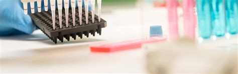 Product Roundup NGS Library Prep Kits Labcompare Com