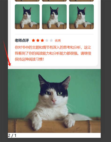 Javascript Vite按需引入vant，标签组件有样式，js表达式的组件确没有样式？ Segmentfault 思否