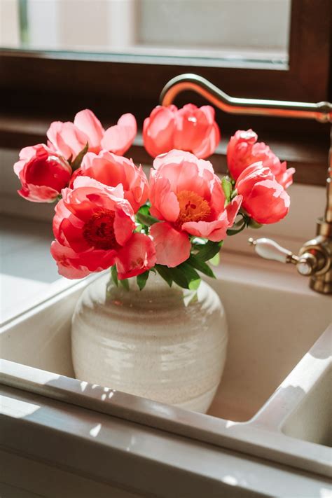 부엌 싱크대에 분홍색 꽃으로 가득 찬 흰색 꽃병 사진 Unsplash의 무료 페오니 이미지