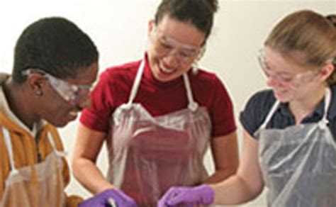 Specimen Dissection Tips And Faqs Avantor