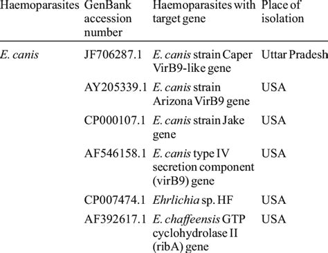 Comparison Of Homology Of The E Canis From Positive Case With Download Scientific Diagram