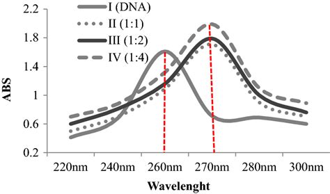 Bathochromic And Hyperchromic Shifts In The Uv Spectrum Of Dna After Download Scientific