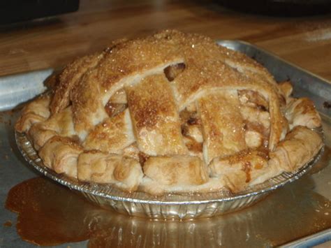 Detect Count And Visualize Object Detection Computer Vision Dataset By Neurodude