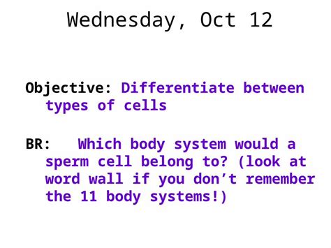 Ppt Wednesday Oct 12 Objective Differentiate Between Types Of Cells