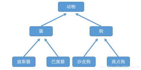 单继承和多继承 Csdn博客