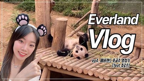 Vlog 즉흥적인 에버랜드 브이로그 🐼 푸바오 실물영접 🐼 우리의 계획은 츄로스 🥨🍪 Youtube