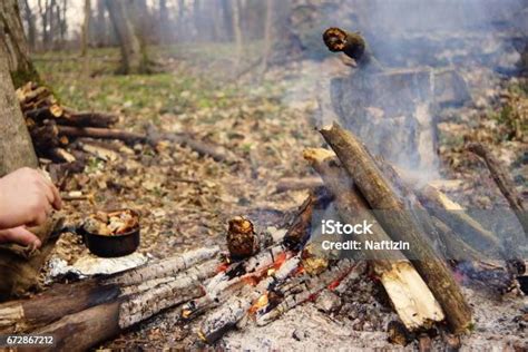 배경에 텐트와 캠프 파이어에 관광 주전자 화재에 대 한 막대기로 손을 가정 주방에 대한 스톡 사진 및 기타 이미지 가정 주방 가정의 방 관광 Istock