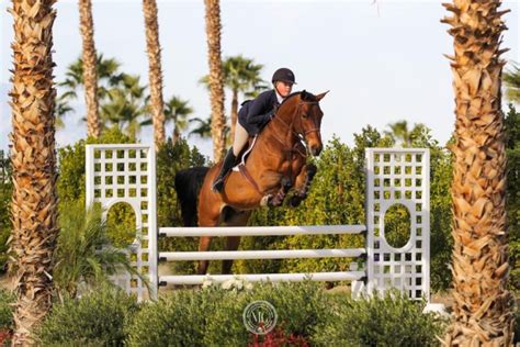 Tatum Takes Charge In Dover Saddleryusef Hunter Seat Medal At Desert