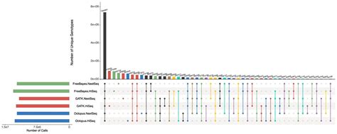 Benchmarking Small Variant Genotyping In Polyploids