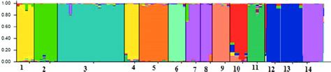 Structure Plot Of Issr Data In Alcea Species Sp1 A Aucheri Sp2 A