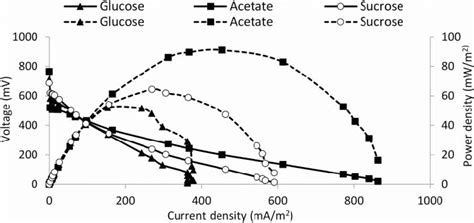 Steady State Polarization Solid Line And Power Dotted Line Curve