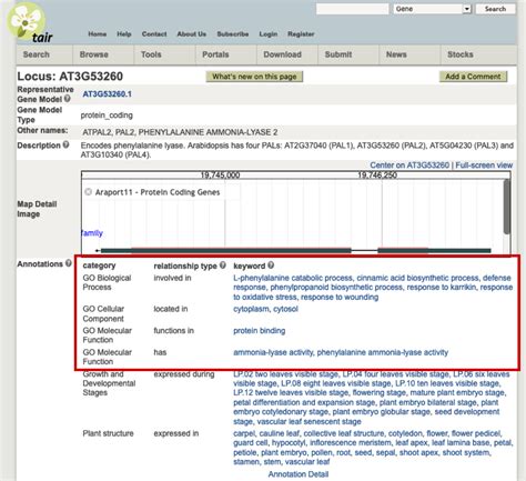 07 Functional Enrichment Analysis Introduction To Rna Seq