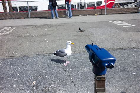 拼接篡改数据集