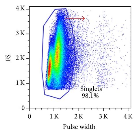 Isolation And Trilineage Differentiation Of Mouse Bone Marrow Mscs Download Scientific Diagram