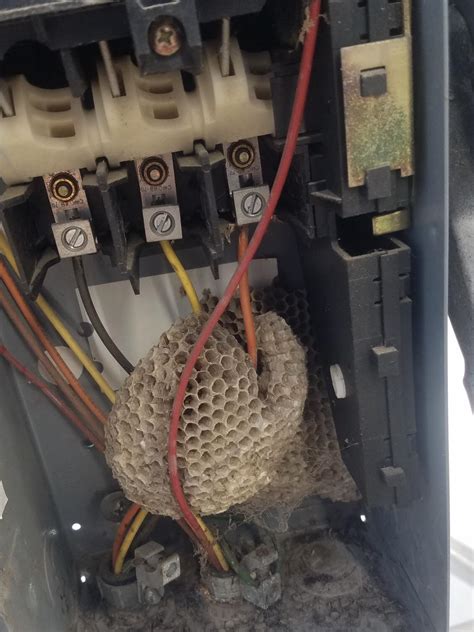 They Kept Telling Me There Was A Bug In My Code R PLC