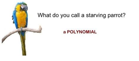 Daily Memes Mrs Coes Math Classroom