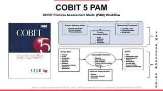 IT Governance Capability Assessment Using COBIT 5 PDF